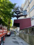 Erbulan vinç hizmetleri (İstanbul, Arnavutköy, Bolluca Mah., Yüksek Sok., 5), vinç firmaları  Arnavutköy'den