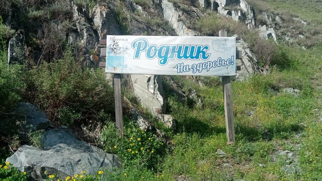 Pınar, çay Spring, stream, Altay Cumhuriyeti, foto