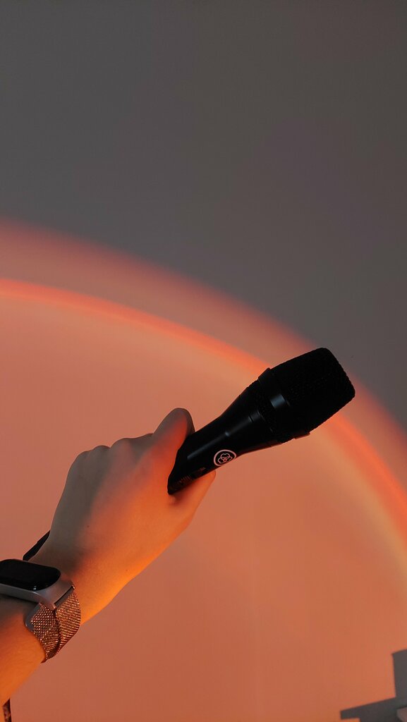 Müzik okulları ve konservatuarlar Та самая студия, Novokuznetsk, foto