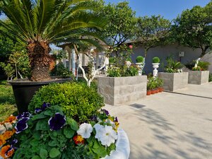 Camellia (ulitsa Shaumyana No:34, selo Alakhadzy), otel  Gagra Bölgesi'nden