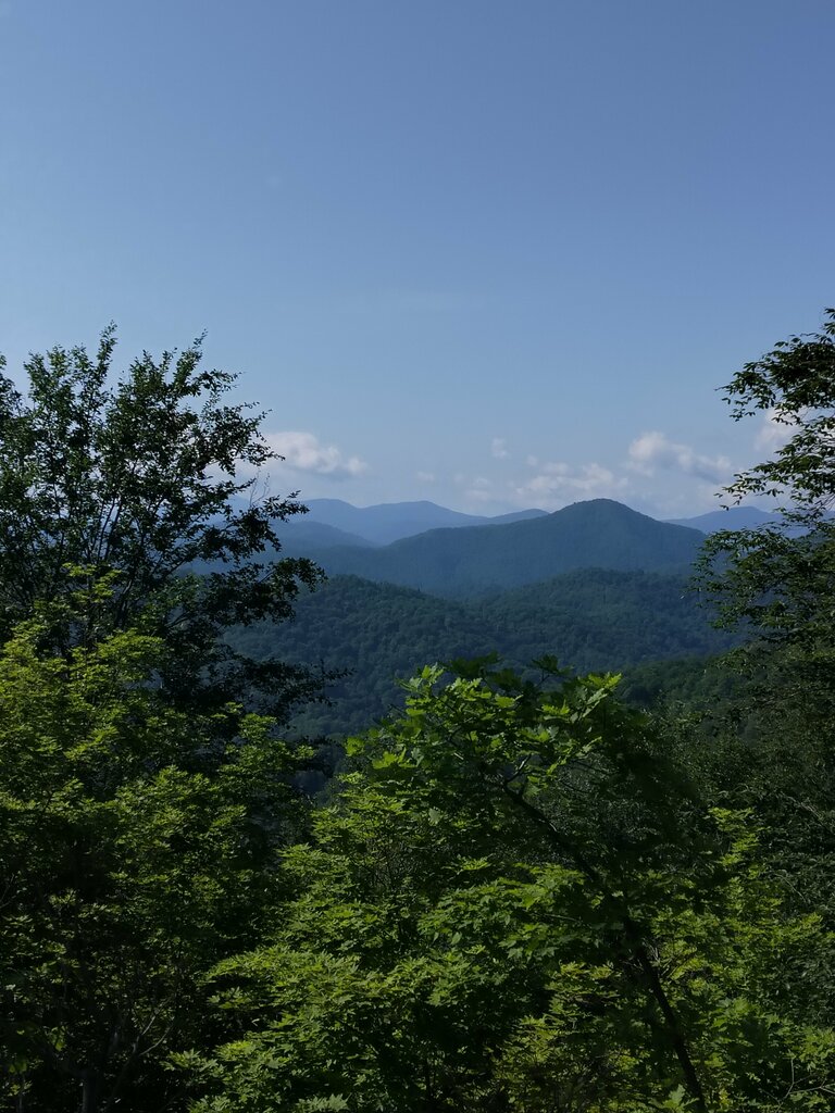Dağ zirvesi Гора Флагох, Soçi, foto