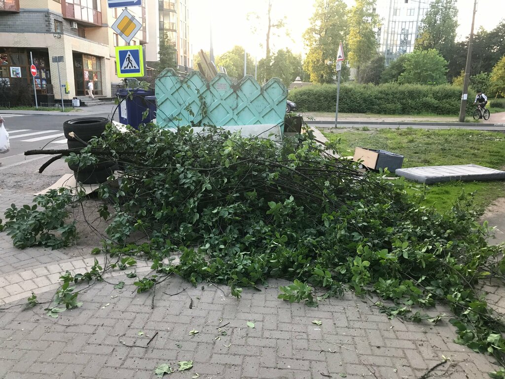 Çöp alanları Trash and garbage disposal area, Saint‑Petersburg, foto
