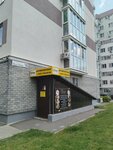 The English club (ulitsa Bystrova No:100), yabancı dil kursları  Volgograd'dan
