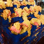 Erenbir Gıda Kırtasiye (İstanbul, Ataşehir, İçerenköy Mah., Adem Sok., 57), gıda üreticileri  İstanbul'dan