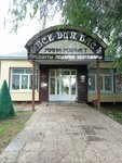 Магазин продуктов (Polevaya ulitsa No:12А, derevnya Salmanovka), market  Ulyanovskaya oblastından