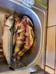 Рыба (Lyublinskaya ulitsa No:2, derevnya Kostomarovo), balık ve deniz ürünleri  Moskova ve Moskovskaya oblastından