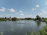 Spring, stream (Samara Region, selskoye poseleniye Krasny Yar, Chubovskiy dachny massiv, DNT Rodnik), pınar, çay  Samarskaya oblastından