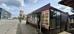 Плов № 1 (ulitsa Lyubovi Baranovoy No:2Т, Bugry), kafe  Saint‑Petersburg ve Leningradskaya oblastından