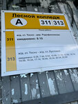 Лесной колледж (Leningrad Region, Tosnenskiy District, Lisinskoye selskoye poseleniye, posyolok Lisino-Korpus), toplu taşıma durağı  Saint‑Petersburg ve Leningradskaya oblastından