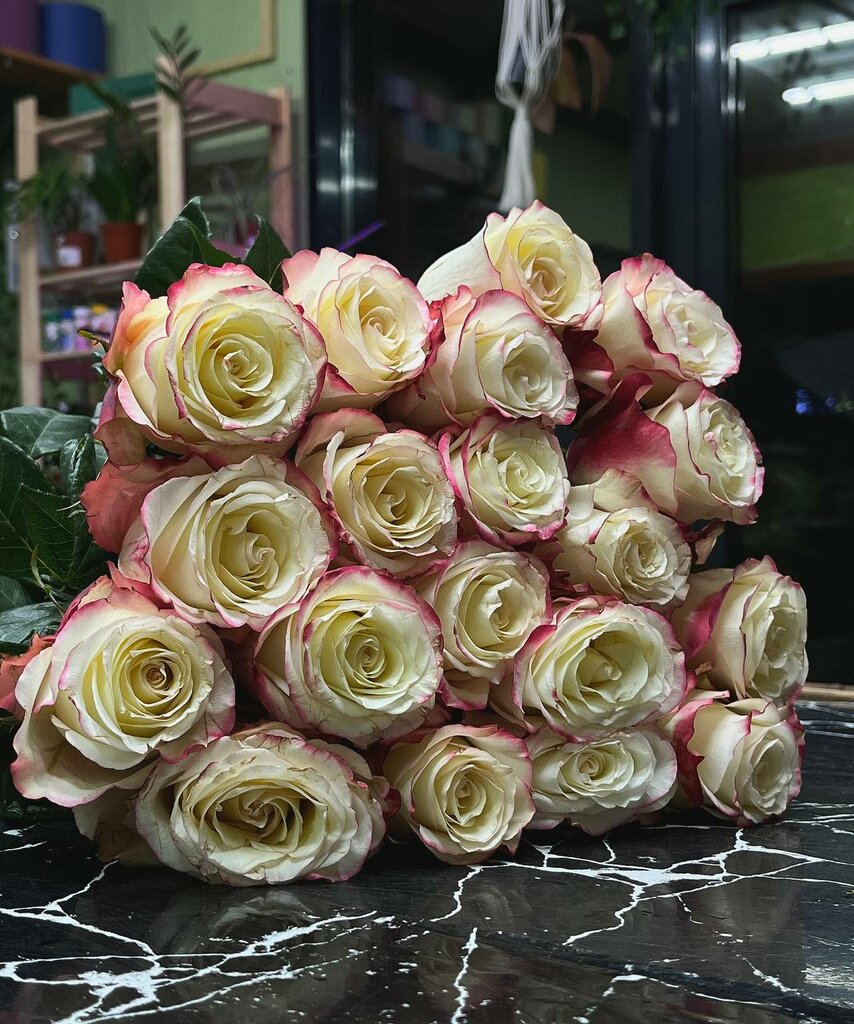 Çiçekçiler The garden, Vidnoye, foto