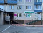 Идеальный питомец (prospekt 50 let Oktyabrya No:51), evcil hayvan kuaförleri  Syzran'dan