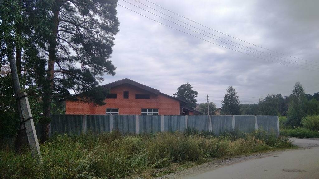 Orman işleri Akylbai Forestry, Şçuçinsk, foto