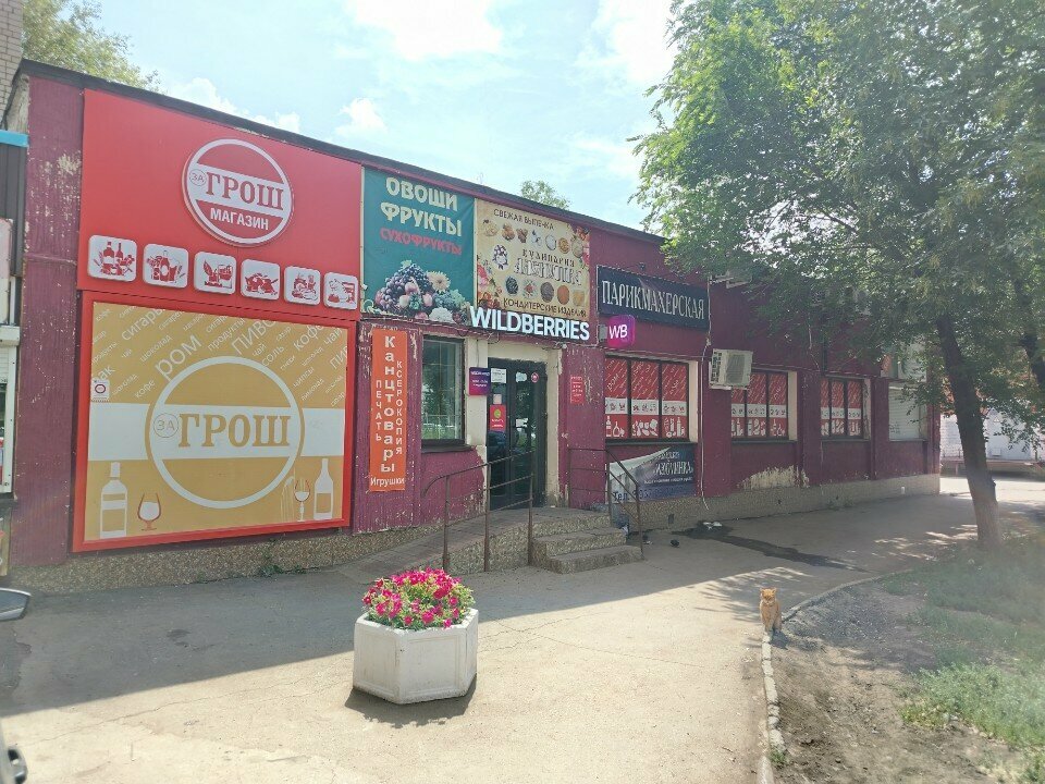 Kırtasiyeler Knopochka, Samara, foto