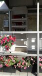 Буккроссинг (Partizanskaya Street No:55Е), gezgin kitap  Samara'dan
