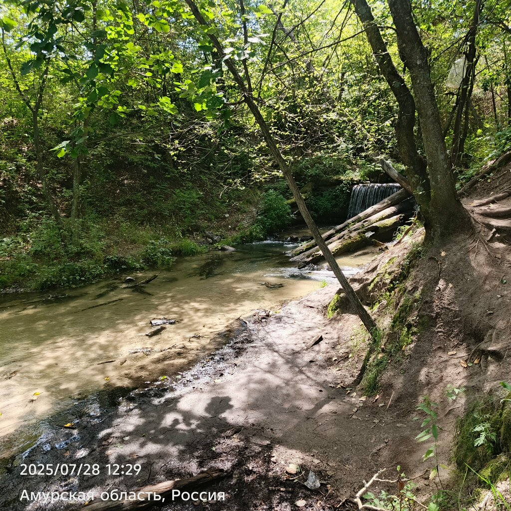Pınar, çay Spring, stream, Amursk Bölgesi, foto