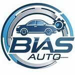 Биас-Авто (Malanova Street No:7А), otomobil yedek parçaları  Yaroslavl'dan