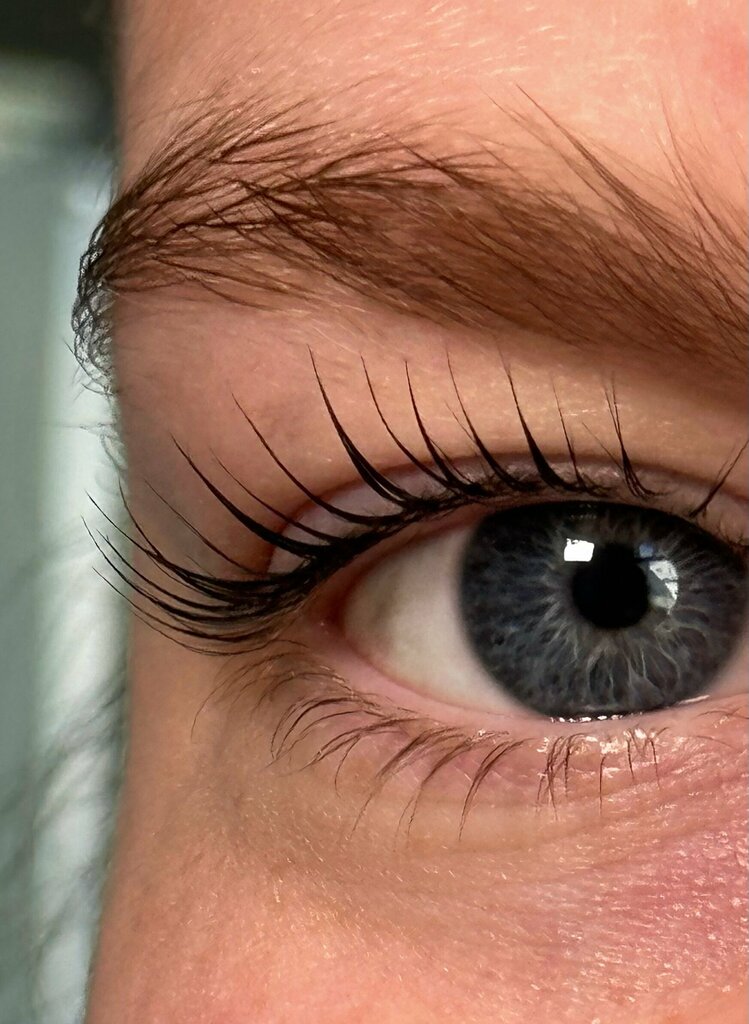 Güzellik salonu Lash and brows from Liza, Kirovsk, foto