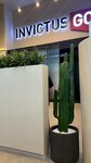Treez.kz (E-117 kóshesi No:40), yapay bitki ve çiçek  Astana'dan