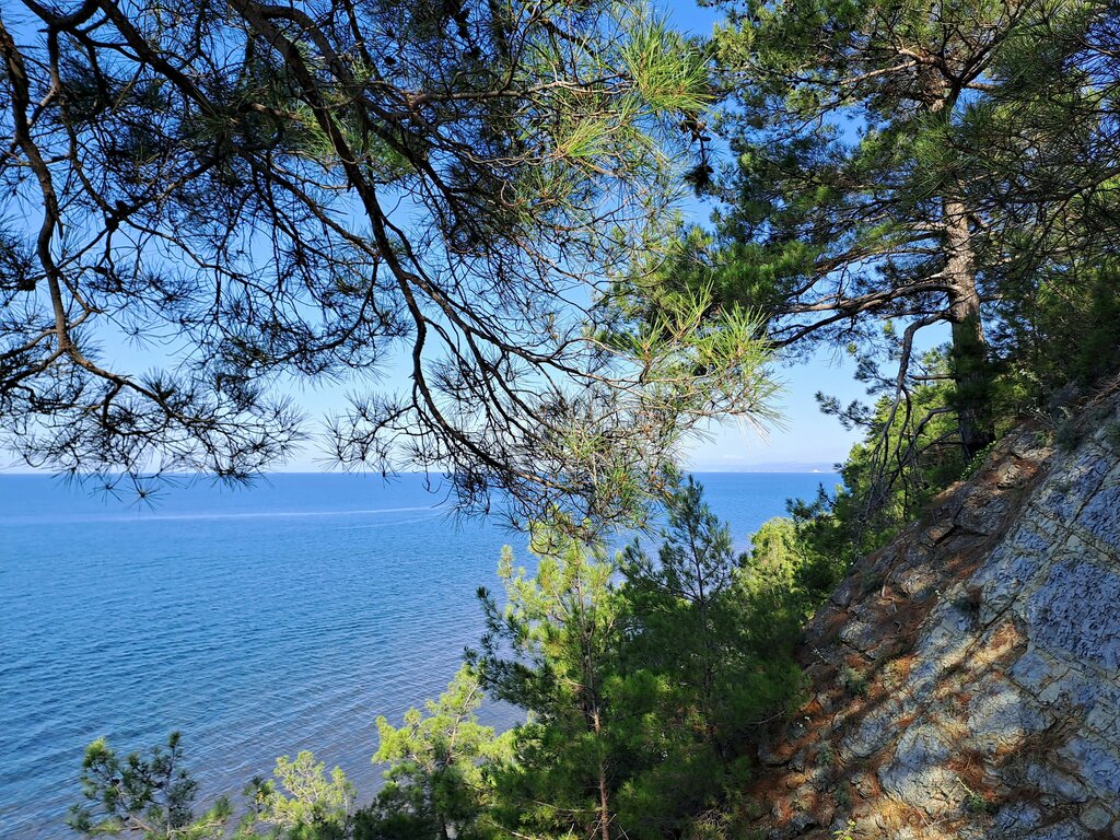 Doğa koruma alanı Государственный природный заказник Агрийский, Krasnodarski krayı, foto