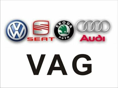 Otomobil servisi Wag сервис, Brianskaya oblastı, foto