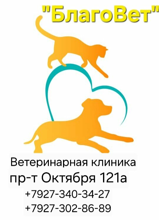 Veteriner klinikleri БлагоВет, Ufa, foto