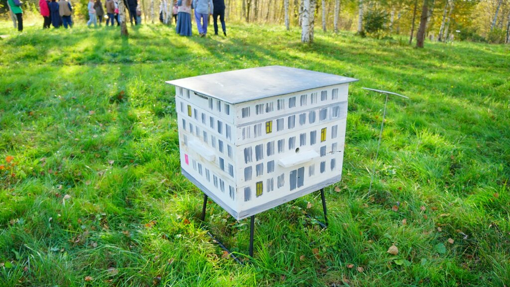 Yaratıcı küme Арт-Парк Тропы, Pskovskaya oblastı, foto