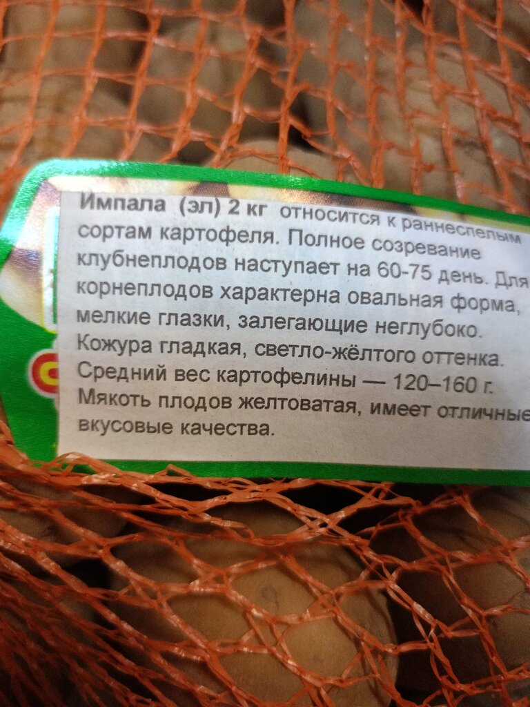 Bahçecilik mağazaları Сад и огород, Moskova ve Moskovskaya oblastı, foto