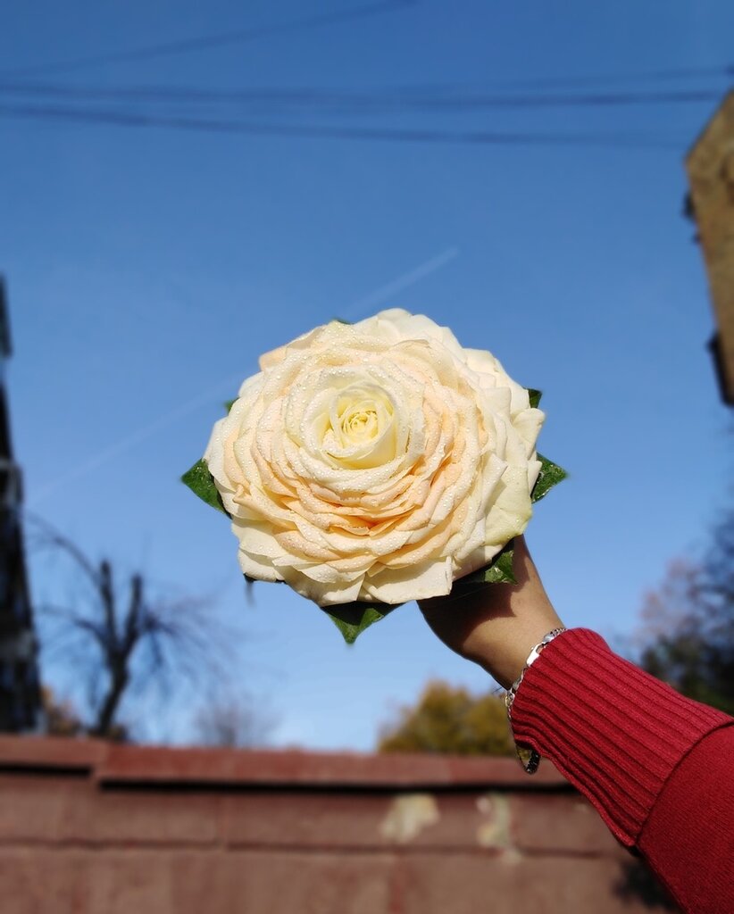 Meslek kursları Mbuketov, Moskova, foto