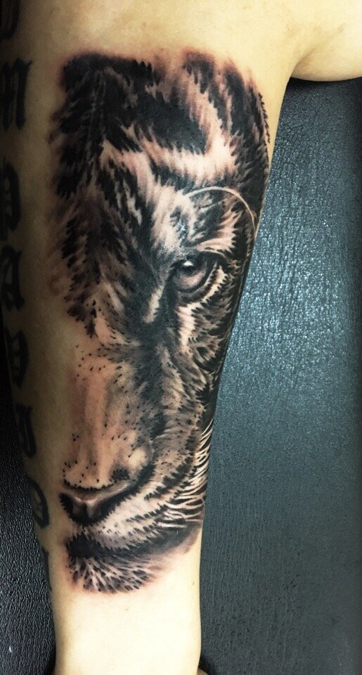 Dövmeciler Тату Студия, Kişinev, foto