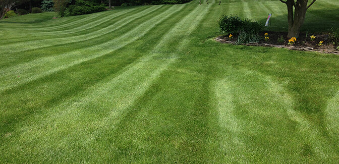 Bahçe ekipmanları ve teknolojileri Stewart Bros. Turf, LLC, Delaware Eyaleti, foto