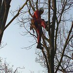 Giardinaggio Verde Tre (Marche, Ancona, Via Borsciano, 5), bahçe ekipmanları ve teknolojileri  Marche'den
