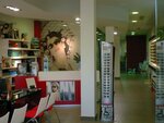 Óptica Los Tilos (Paseo de los Tilos No:23, Malaga, Málaga), optik  Malaga'dan