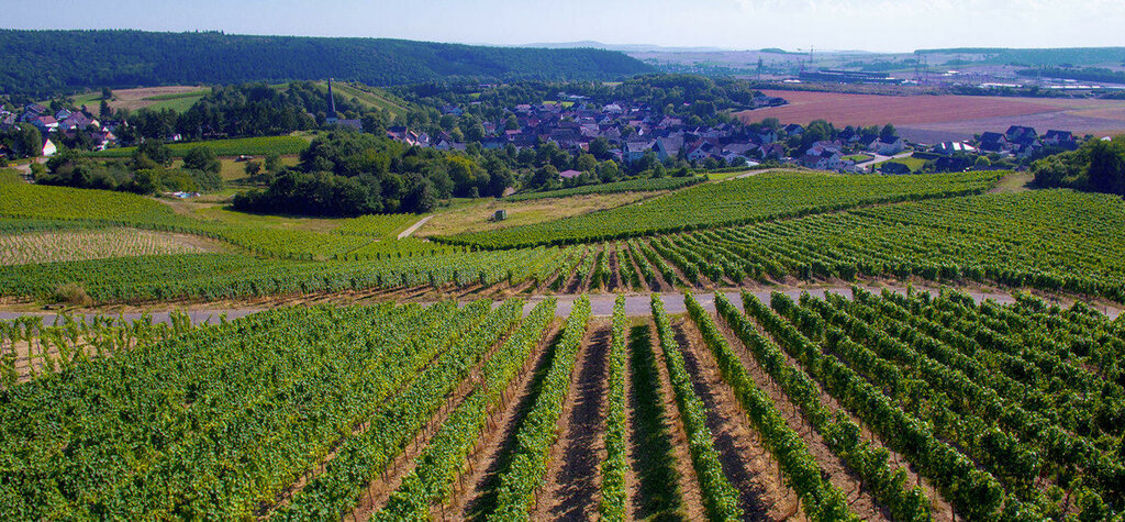 Şarap ve içki toptan satışları Weingut Gunther Merg, Renanya‑Palatinate, foto