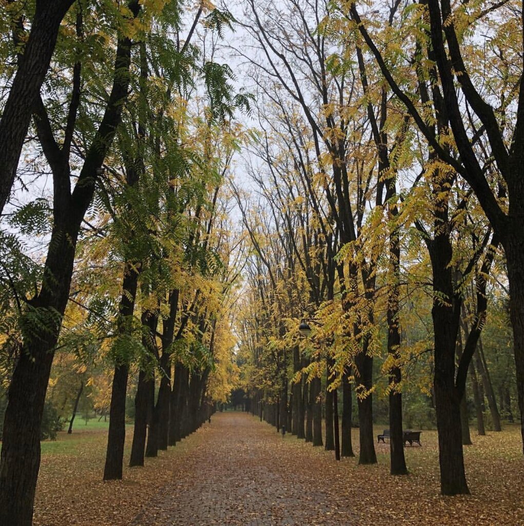 Kültür ve eğlence parkları Ботанический сад, Krasnodar, foto