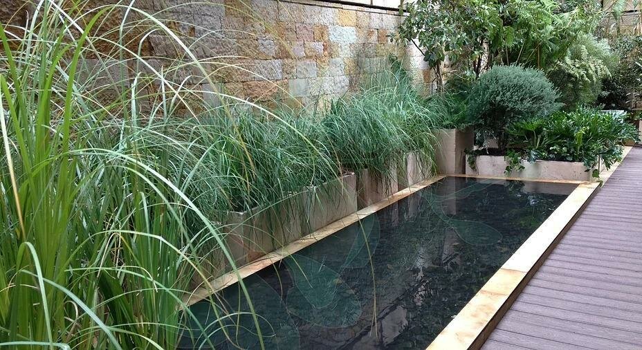 Yapay çam ağaçları ve süsleri Servijardines & Decoración S. A. S., Bogota, foto