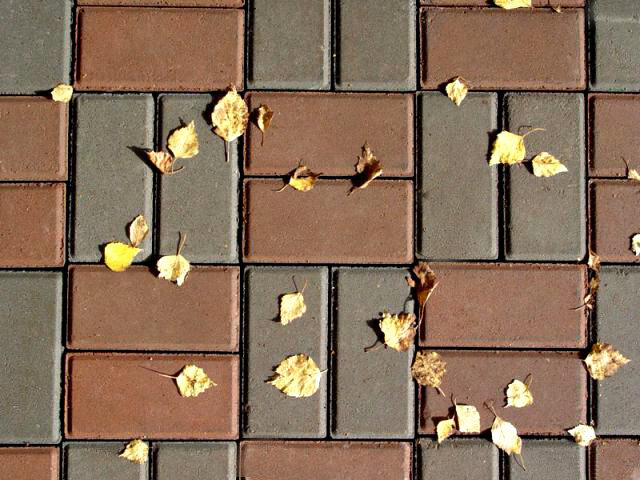 Kaldırım taşları Plitstroi, Moskova ve Moskovskaya oblastı, foto