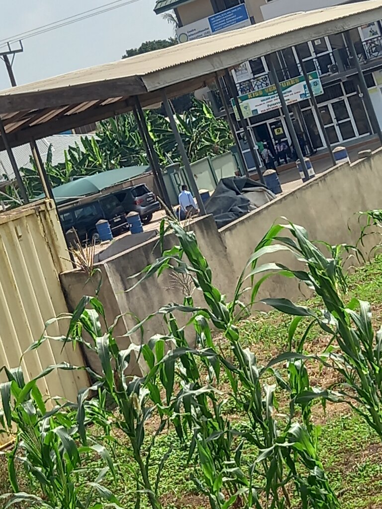 i̇ş merkezi Kjss Plaza, Dünya, foto