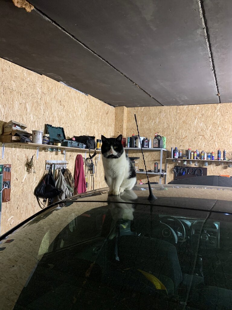 Otomobil servisi Компьютерная автодиагностика, Kaluga, foto