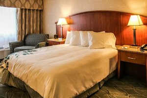 Wingate by Wyndham Elkins (West Virginia, Randolph County, Elkins), otel  Batı Virginia Eyaleti'nden