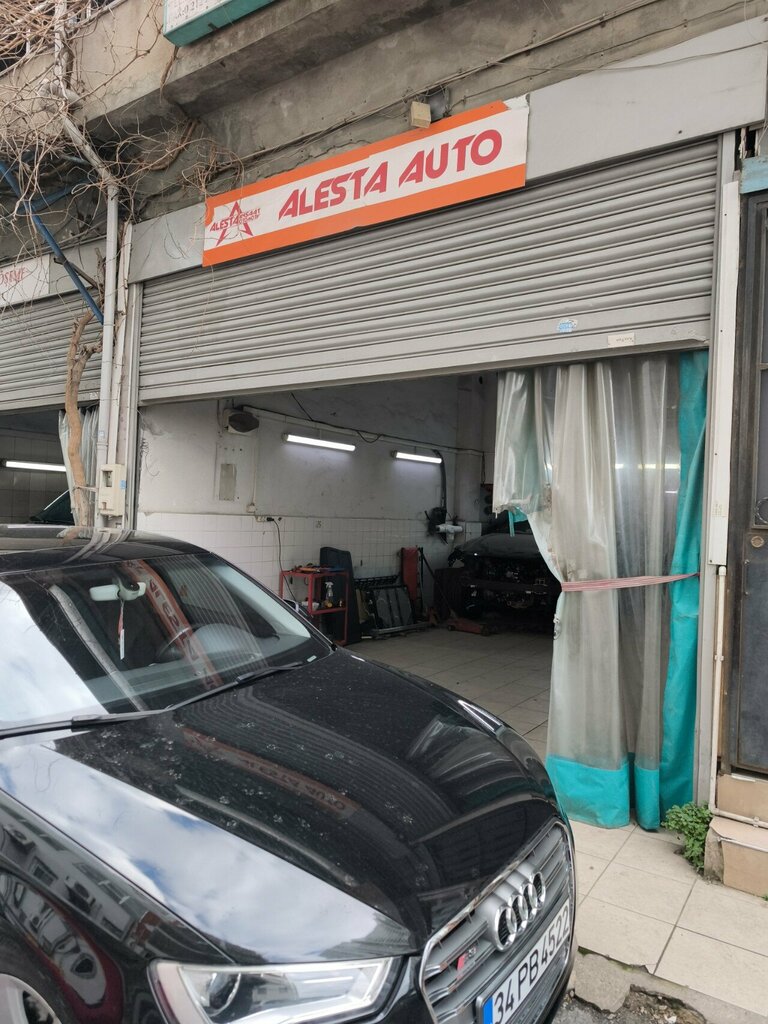 Otomobil servisi Alesta Auto, İstanbul, foto
