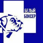Belyj Bokser (Vostochnaya Street No:11В), veteriner klinikleri  Yekaterinburg'dan