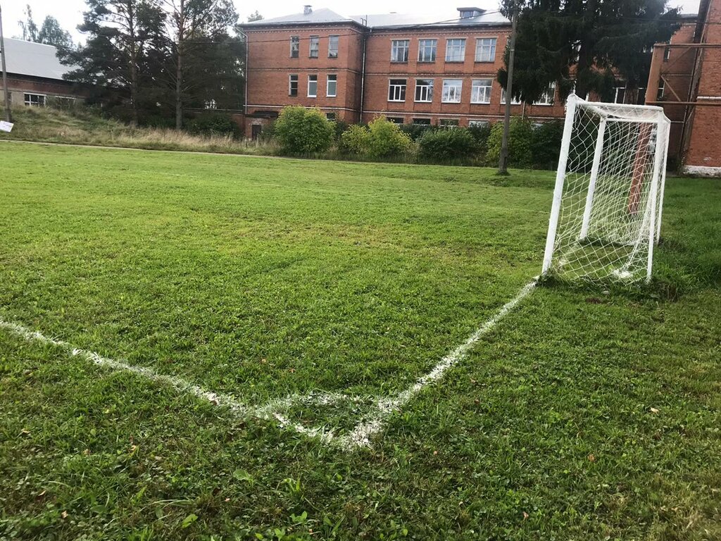 Spor alanı Футбольное поле, Moskova ve Moskovskaya oblastı, foto