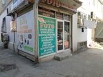 Pantera foto (Сity ​​of republican subordination Baku, Yasamal, Abbas Mirzе Sеrifzadе Street, 514), fotoğraf hizmetleri  Bakü'den