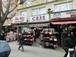 Cess Accessories (Ali Fuat Başgil Cad., No:12D, Yıldırım Mah., Bayrampaşa, İstanbul), çanta ve valiz mağazaları  İstanbul'dan