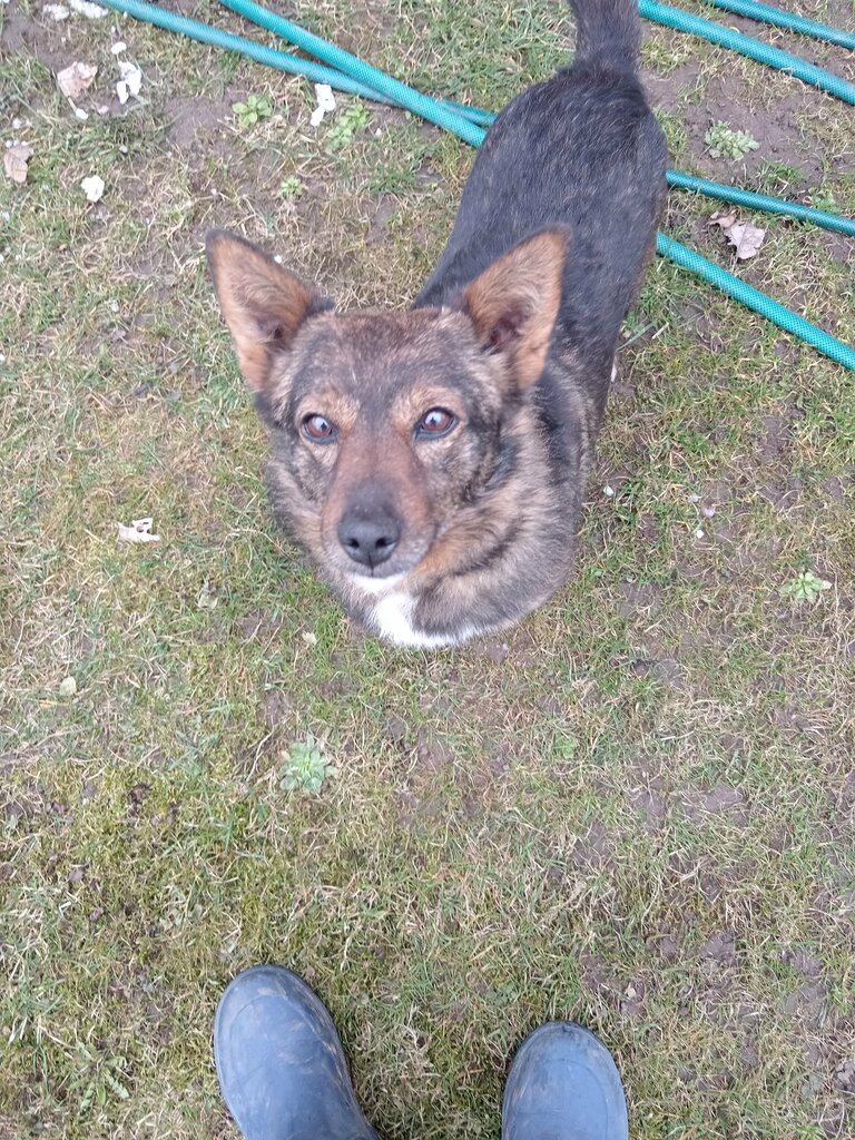 Kültür ve eğlence parkları Prysiadzibny Park, Grodnenskaya oblastı, foto