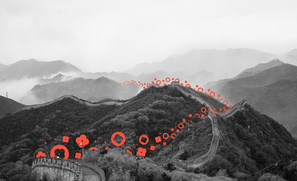 Pasaport ve vize işlemleri Vega Visa, Vladivostok, foto