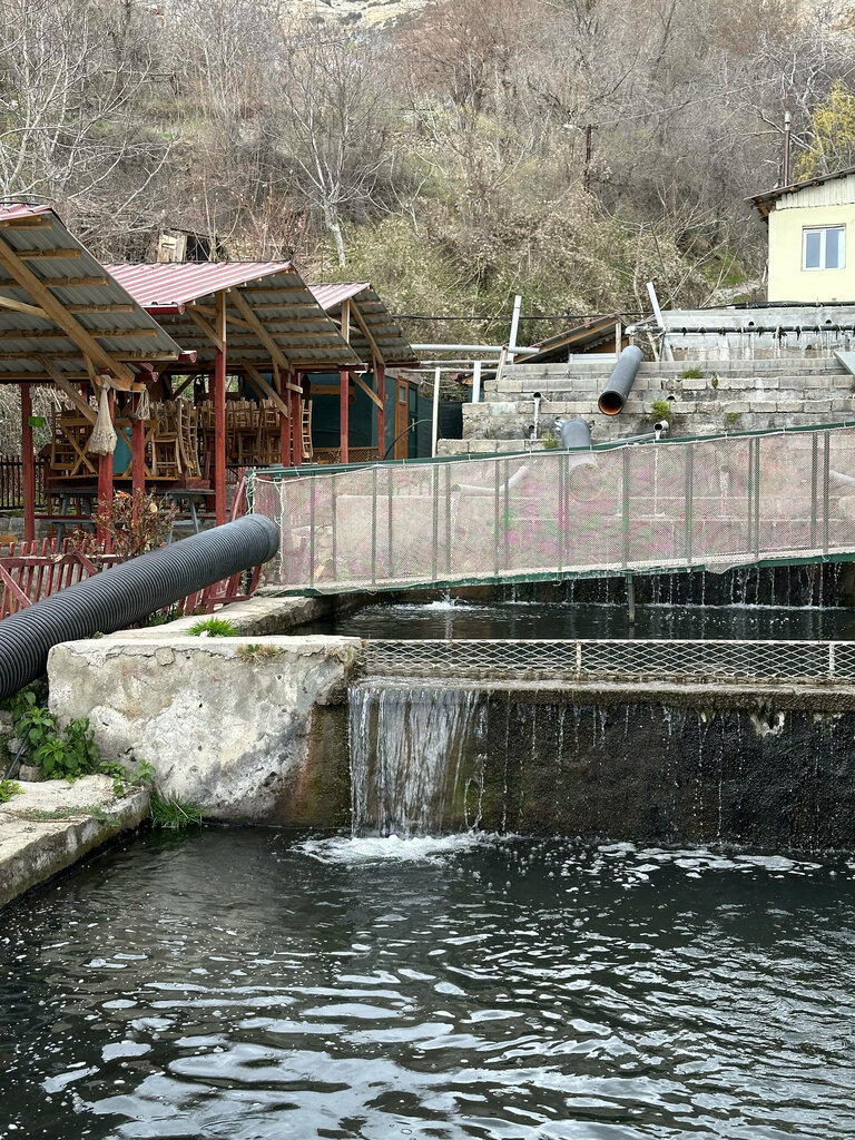 Restoran Asma Altı Alabalık Restoran, Ermenek, foto