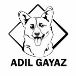 Pembroke Welsh Corgi Kennel by Adil Gayaz (Mytischi, Very Voloshinoy Street, 66Б), animal nursery  Mytişçi'den