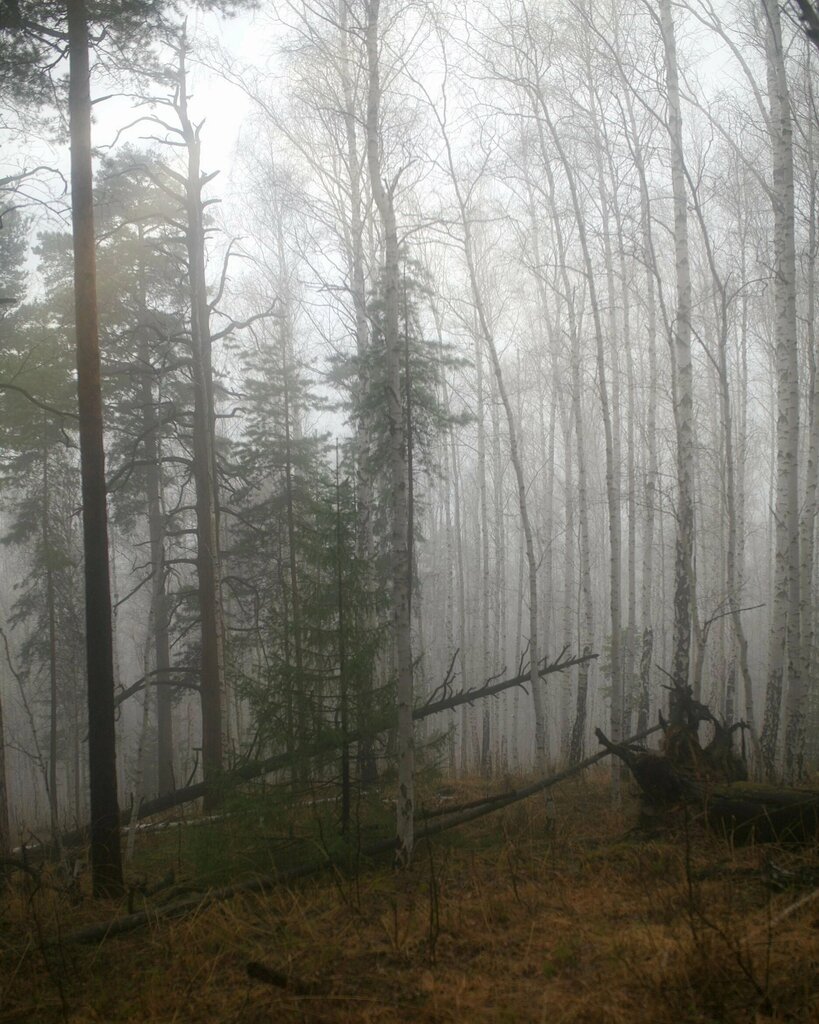 Dağ zirvesi Гора Гороховая, Çeliabinskaya oblastı, foto