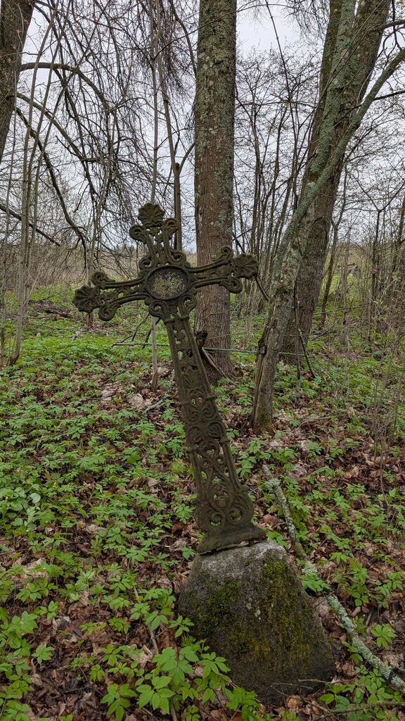 Mezarlıklar Лужское кладбище, Saint‑Petersburg ve Leningradskaya oblastı, foto